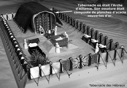 Les secrets de l’Arche d’alliance - Morphéus